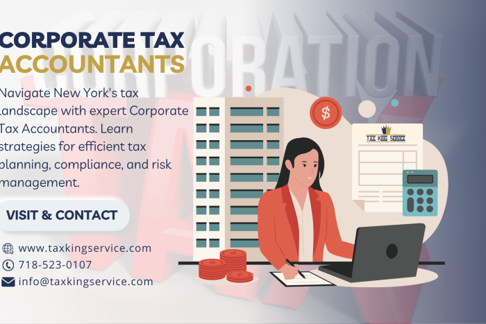Tax King Inc. | Accounting, Taxation, Audit & License Services
